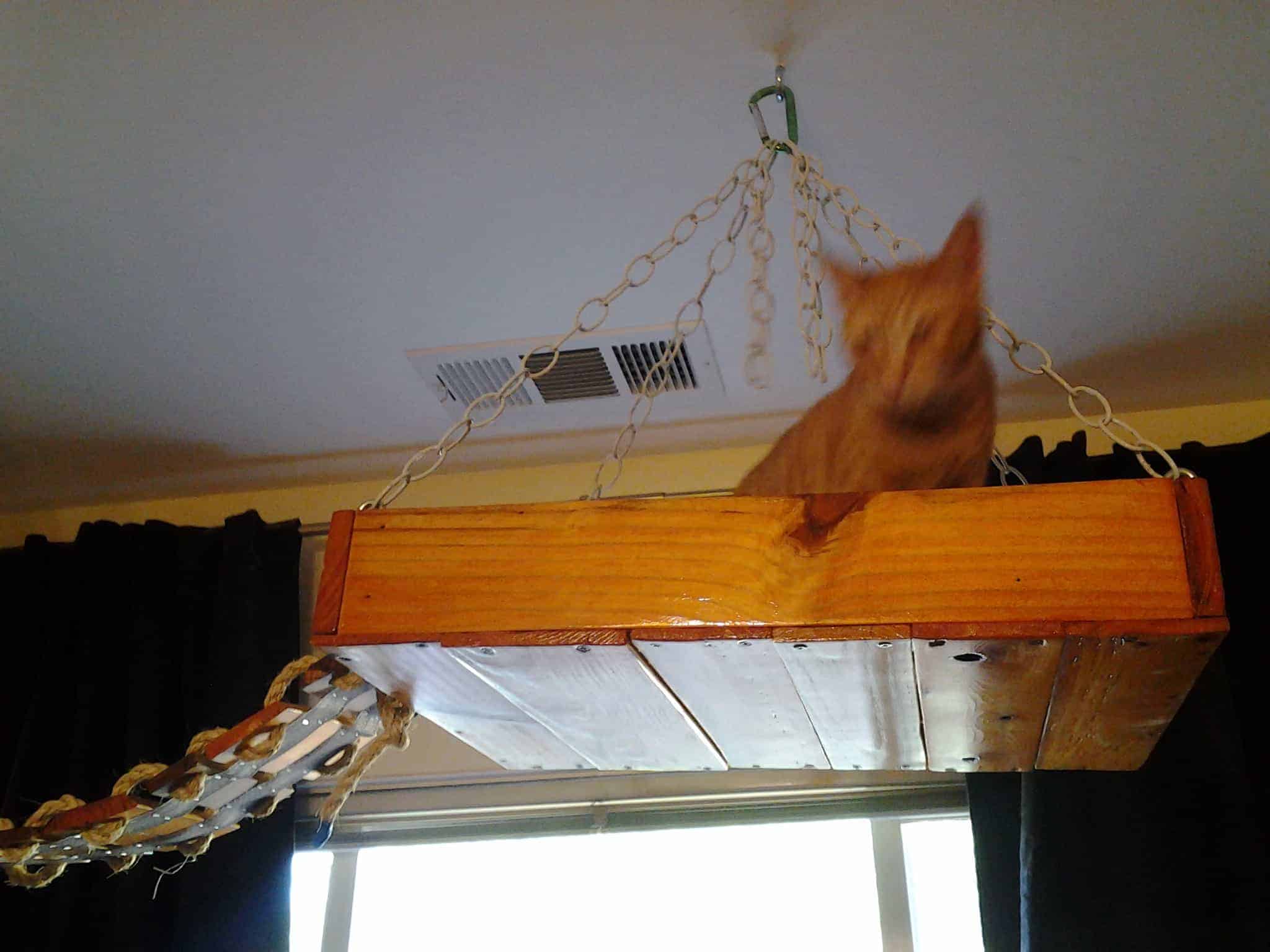 Diy: Pallet Cat Tree Provides Kitties Some Fun! • 1001 Pallets