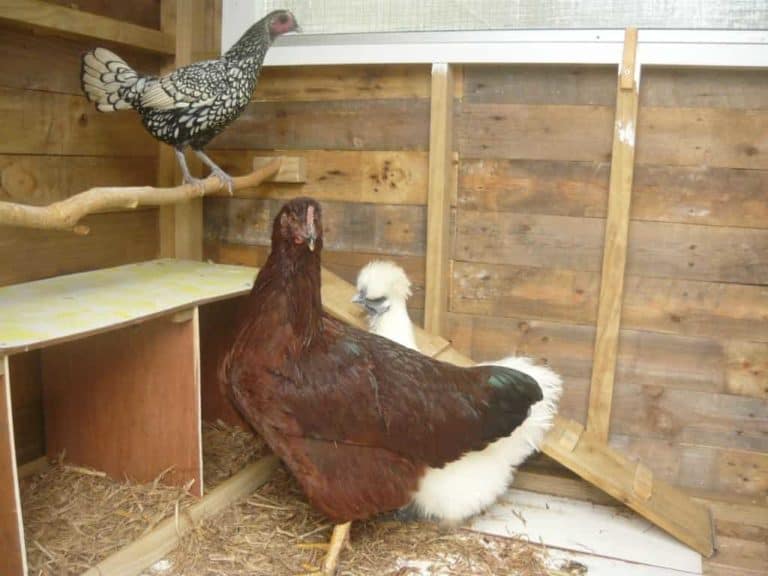 Our Best Pallet Chicken Coops, Hutches & Cages • 1001 Pallets
