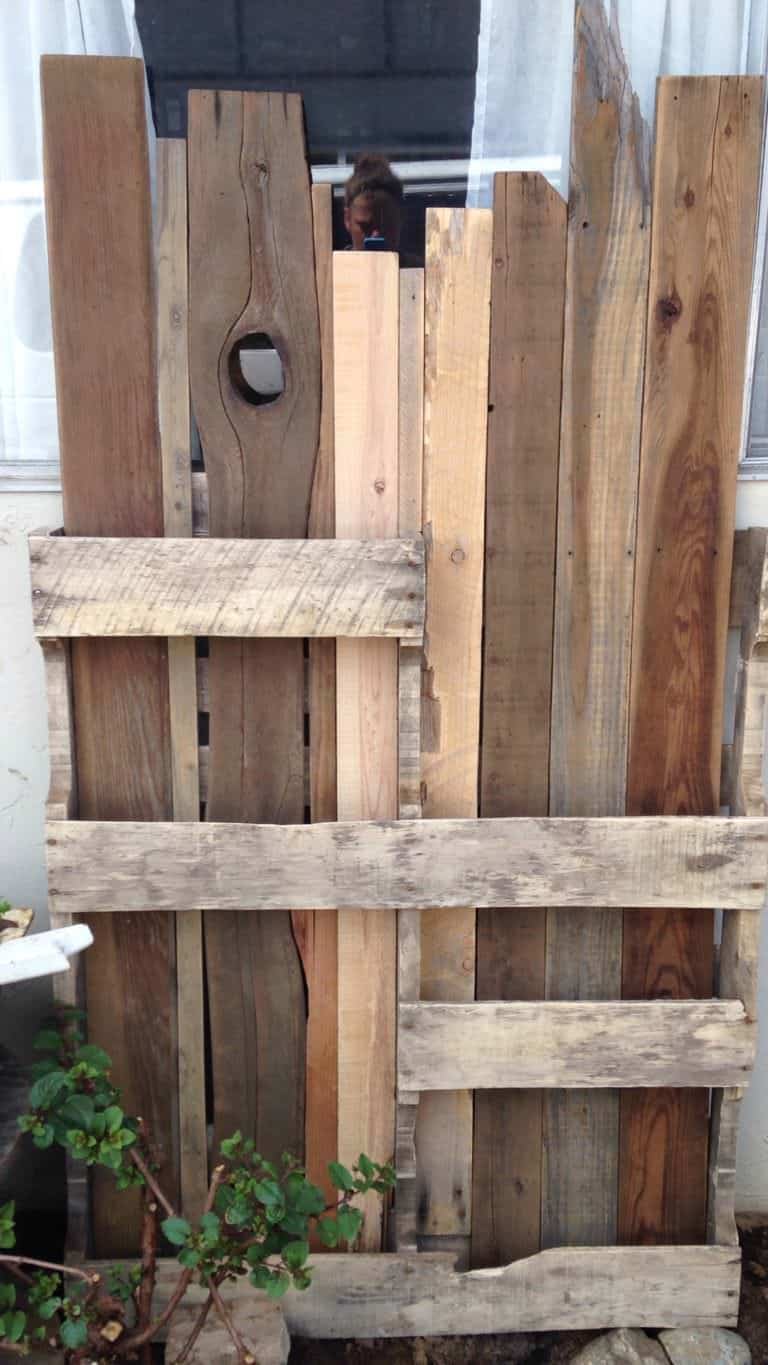Ornamental Pallet Vertical Shade Garden • 1001 Pallets