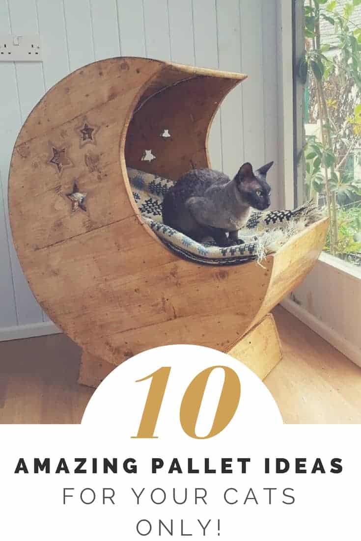 Cat Pallet Projects: Here Are 10 Amazing Ideas For Them! • 1001 Pallets