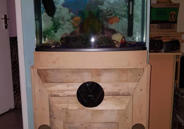 Christmas Trees • 1001 Pallets